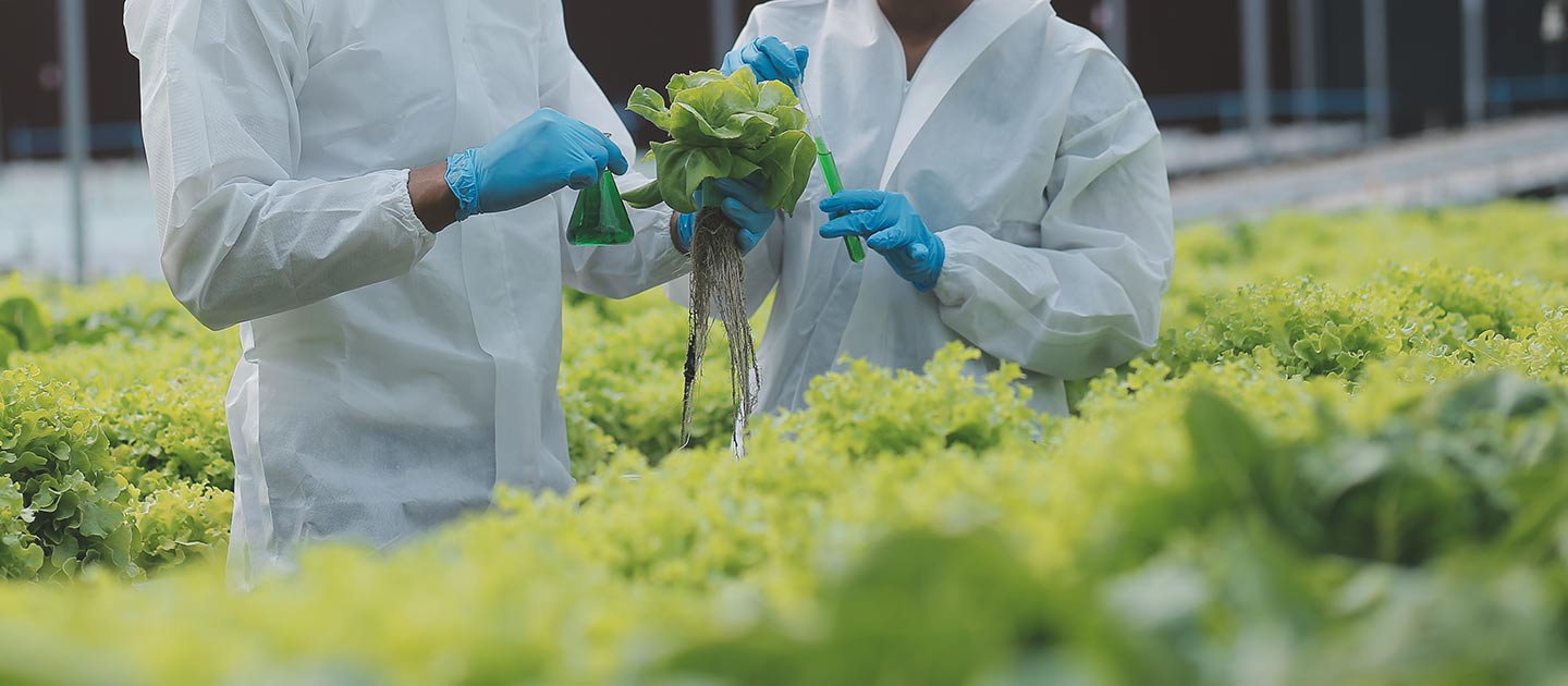Food and Agriculture Products Testing Lab - SITARC